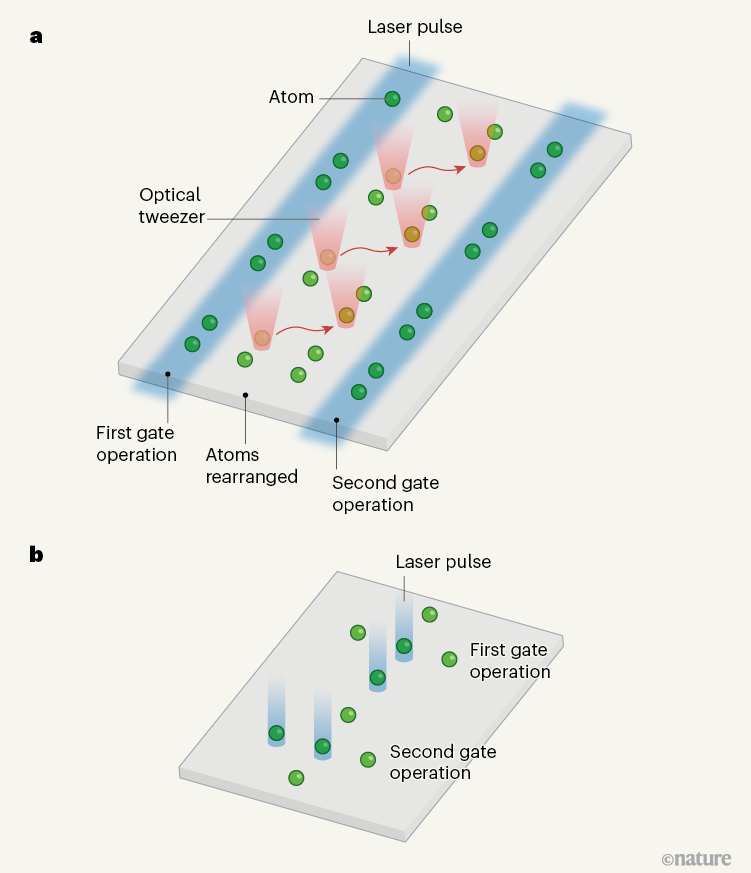 Versatile neutral atoms take on quantum circuits
