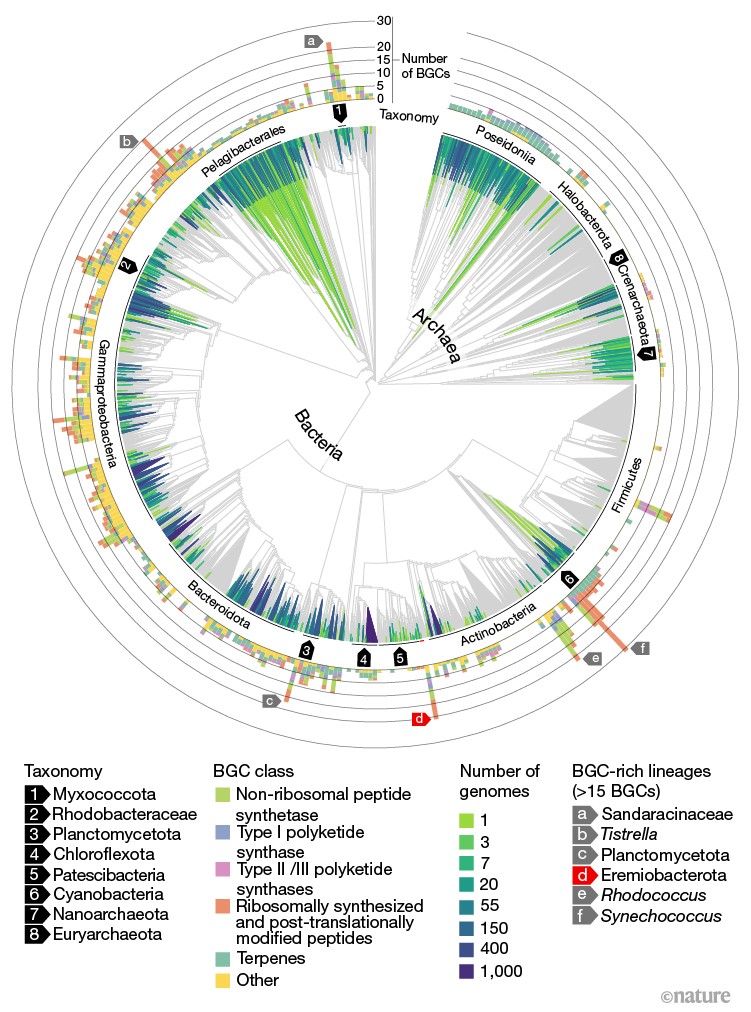 A wealth of new biosynthetic pathways from the global ocean microbiome