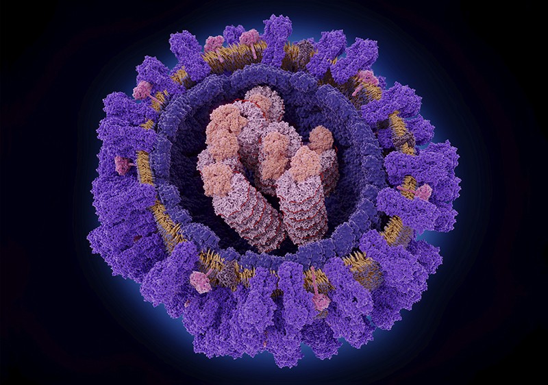 Drug makers chase anti-flu pill