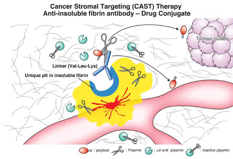 Quickening the pace of new anti-cancer agents