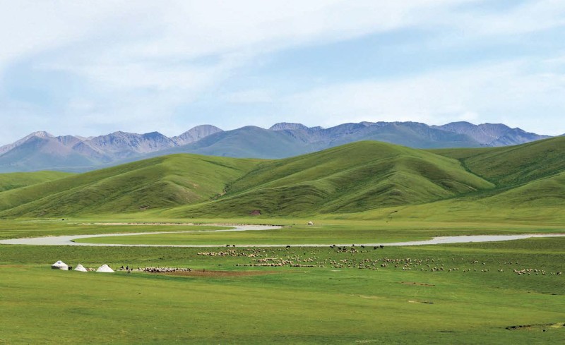 Leading the field in grassland agricultural success