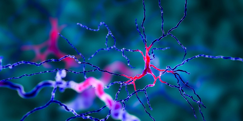 Neurodegenerative diseases and neuroinflammation: Getting the balance right