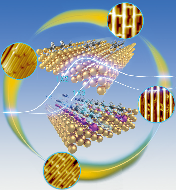 A growing force in nanoscience