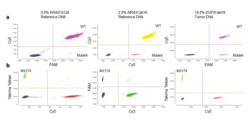 Application Notes: Drop-off Crystal Digital PCR™ for NRAS, KRAS and ...
