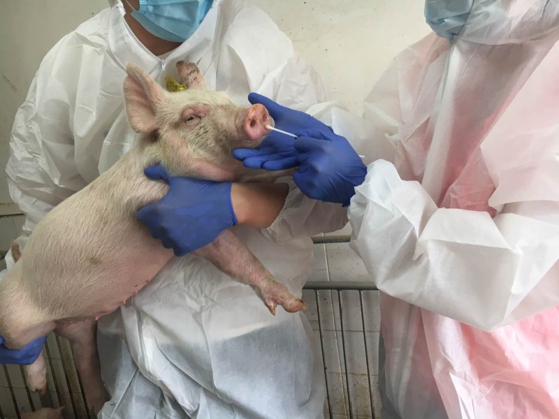 Preventing influenza pandemics