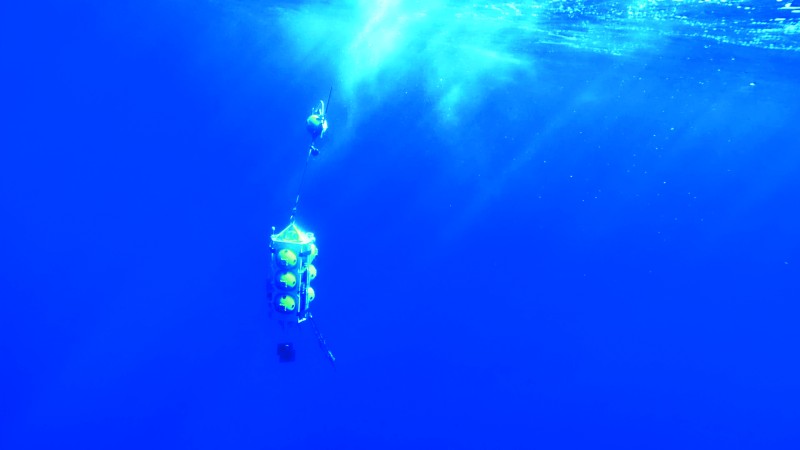 A watchful eye on the deep-sea environment