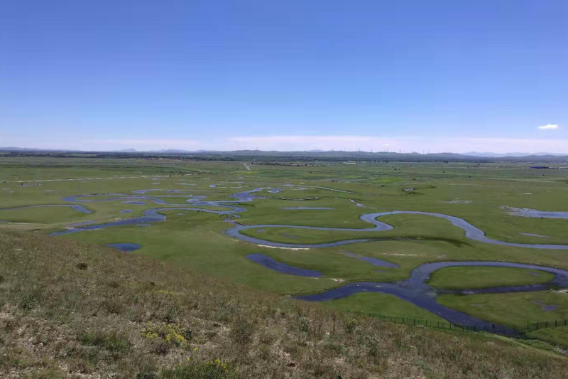 For healthy watershed ecology