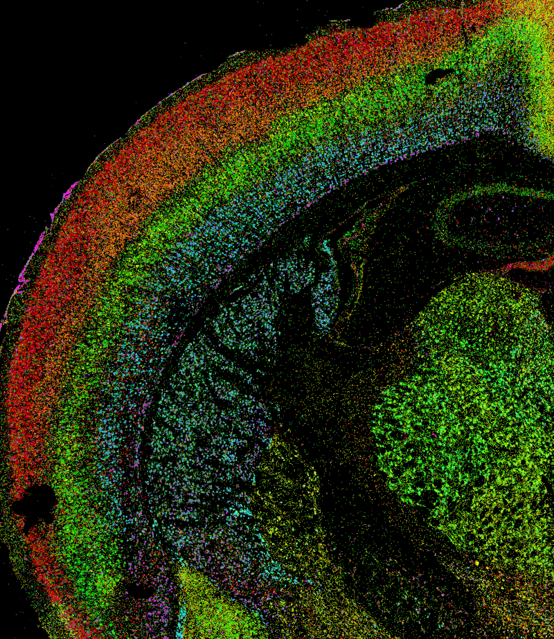 An emerging method affords a new view into the geography of gene expression