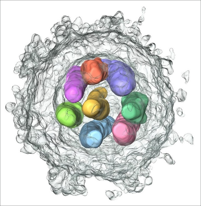 ‘Deep virology’ shapes up to fight viruses