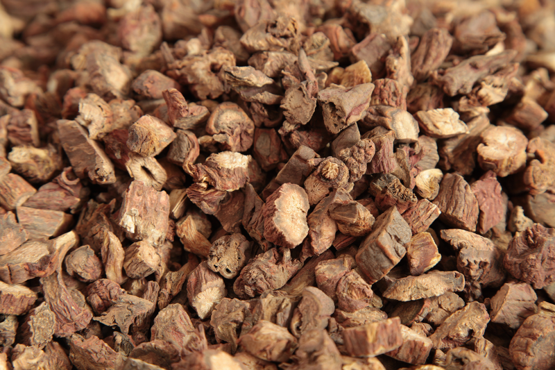 Deeper understandings of acupuncture and traditional Chinese remedies