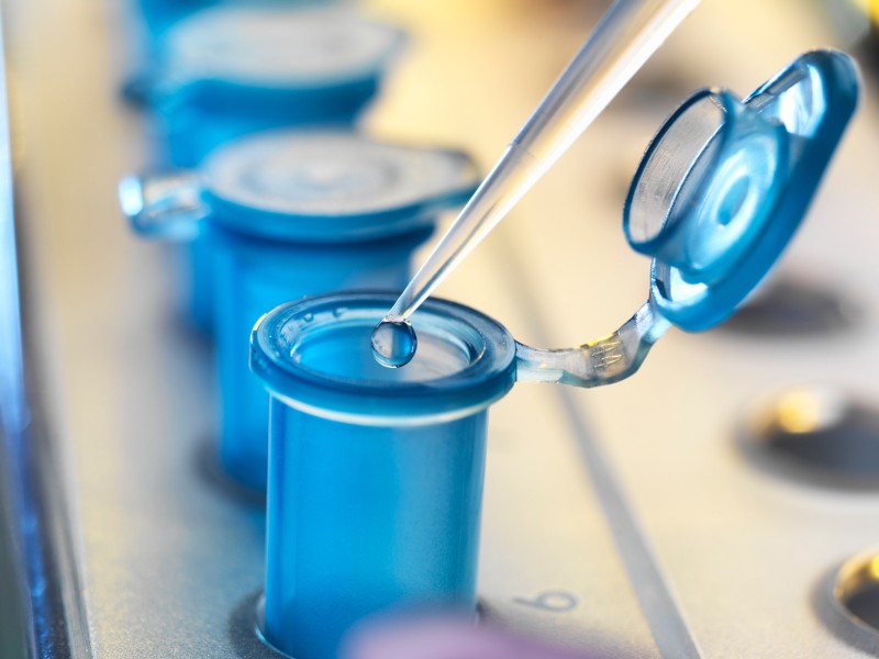 Riding the biological resource boom