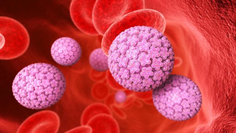 HPV biomarker test may support adaptive approach to cancer treatment