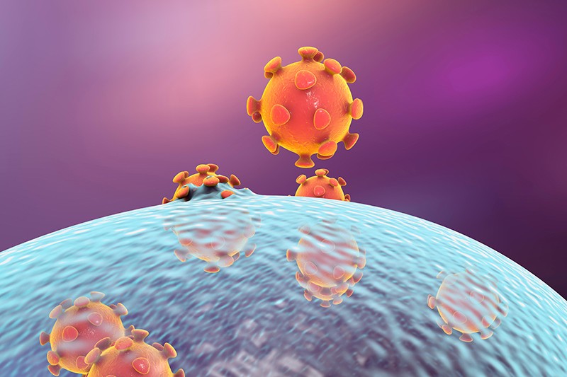 Revealing the ‘hidden’ virus