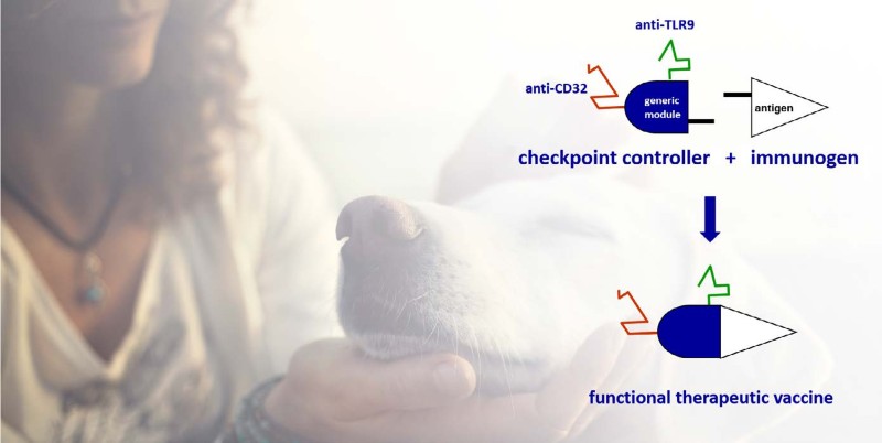 Next-generation animal health vaccines