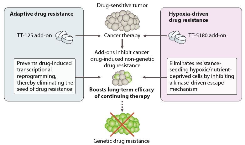 Eradicating the seed of cancer drug resistance