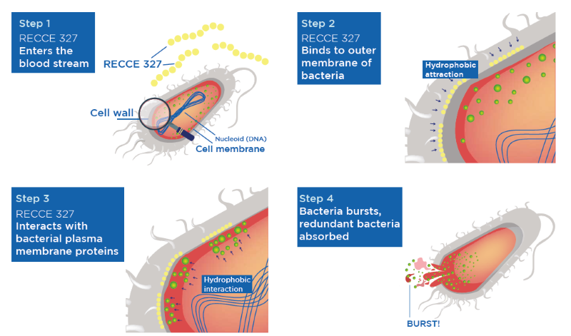 New class of synthetic antibiotics set to tackle superbugs