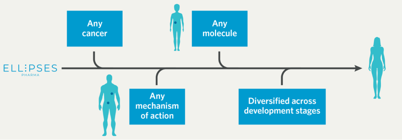 Ellipses Pharma—distilling cancer drug development to its essence