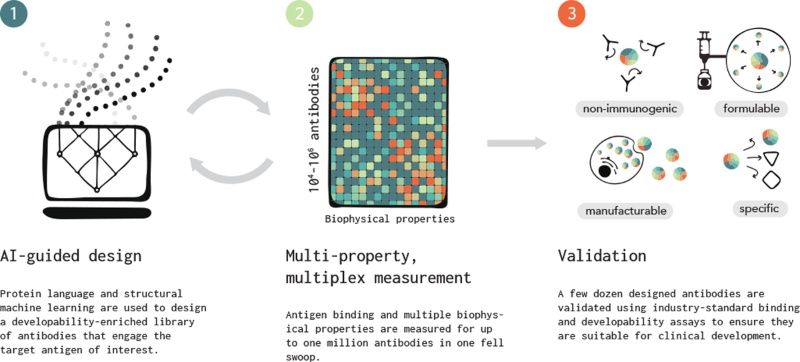 Intelligent design of next-generation antibodies