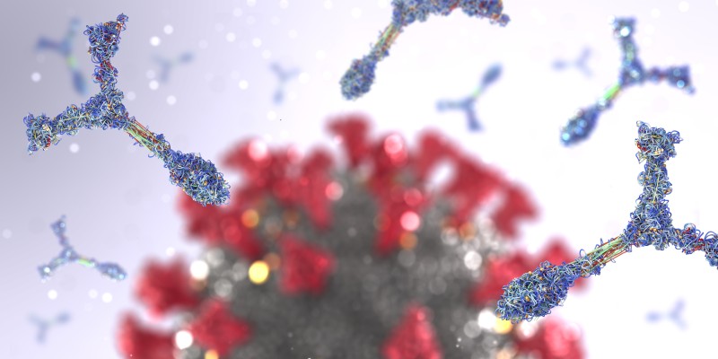 Immunosensors that can detect SARS-CoV-2 antigens and antibodies