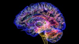 Latest science news, discoveries and analysis