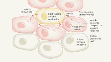 Latest science news, discoveries and analysis