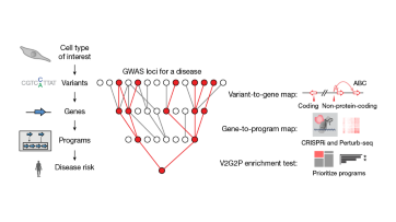 Latest science news, discoveries and analysis