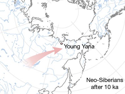 The lineages of the first humans to reach northeastern Siberia and the ...