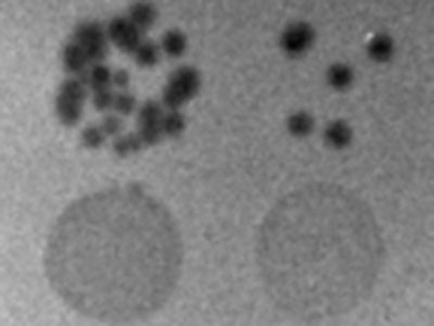 Bacterial dormancy curbs phage epidemics