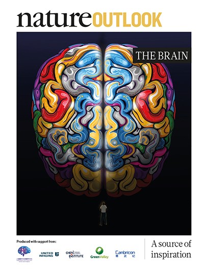 Neanderthal clues to brain evolution in humans