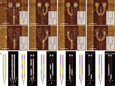 An all-electrical magnetic logic gate that harnesses chirality between ...