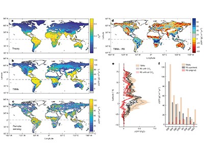 Constraints on estimating the CO2 fertilization effect emerge