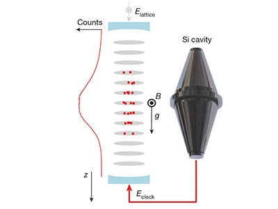 Atomic clouds stabilized to measure dilation of time
