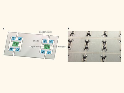 The 6G frequency switch that spares scientific services