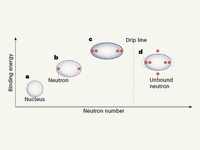 Collisions hint that four neutrons form a transient isolated entity