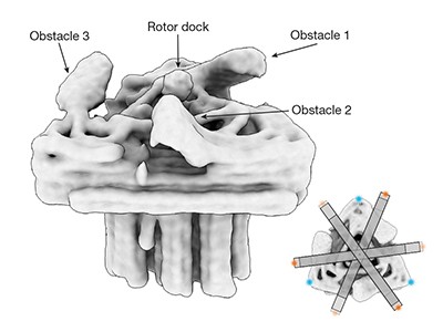 A microscopic electric motor made of DNA