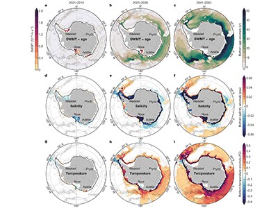 Southern Ocean heat sink hindered by melting ice