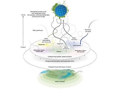 Assessing the values of nature to promote a sustainable future