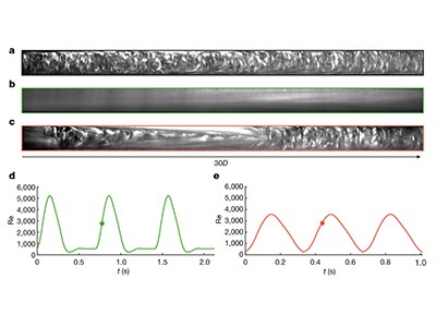 Cardiac cycle inspires optimized pipe flow