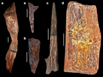 Hominins built with wood 476,000 years ago