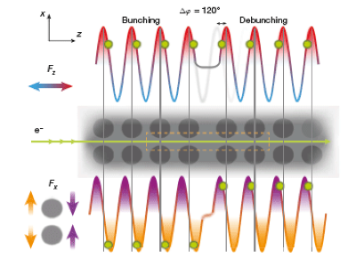 The compact accelerator that keeps electrons on the straight and narrow
