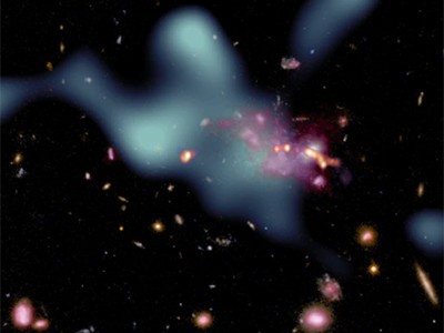 Ultra-compact oddities are galaxies stripped of stars