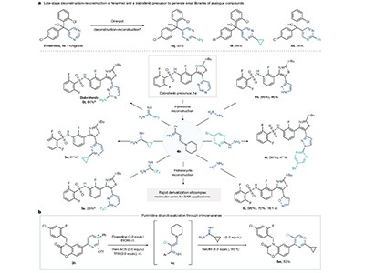 Atom-swap chemistry speeds synthesis of compounds for drug discovery