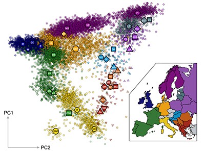 Ancient DNA clarifies the early history of the Slavs