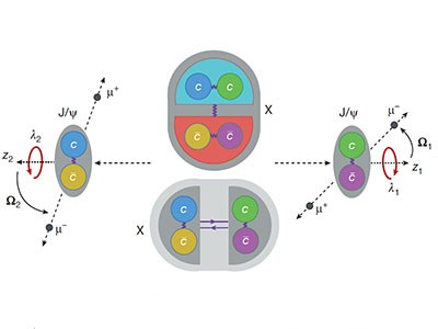 Quarks in ‘exotic’ quartets prefer to stick together