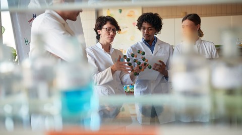 Nature News & Comment