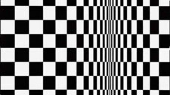 Bridget Riley Movement In Squares