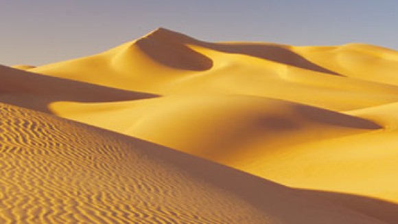 Sand Dune Desert