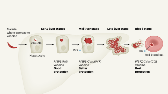 Nature News & Comment