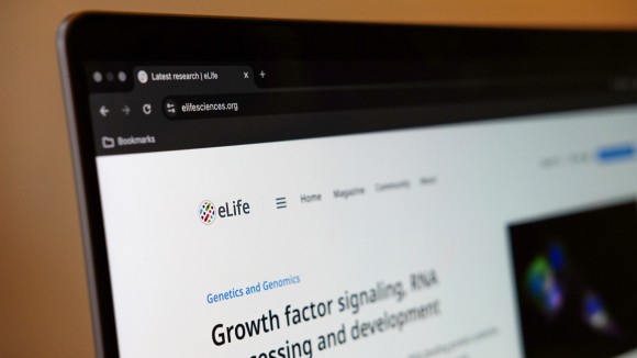 News - latest articles - page 2