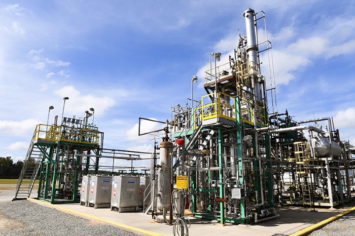 A CRISPR first produces squid as clear as glass : Research Highlights